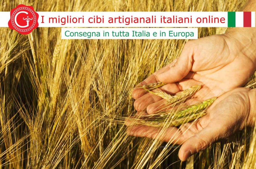 GRANO DURO: ORIGINE, PARTI, NUTRIENTI, SEMOLA E FARINA